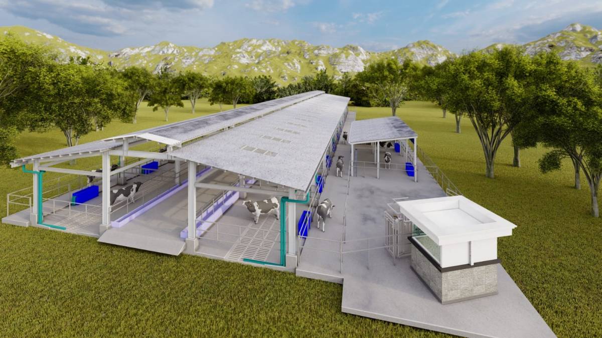 Peternakan Sapi PT One Rice Indonesia – Hogan